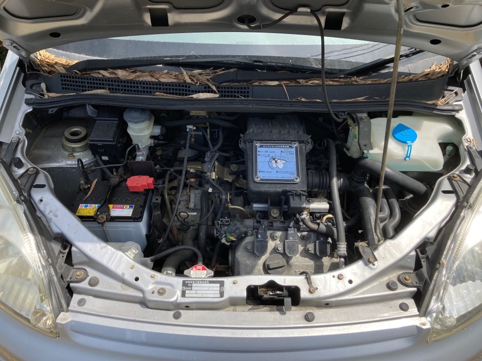 GAPRAS ホンダ ライフ - 商品詳細 - SP321578