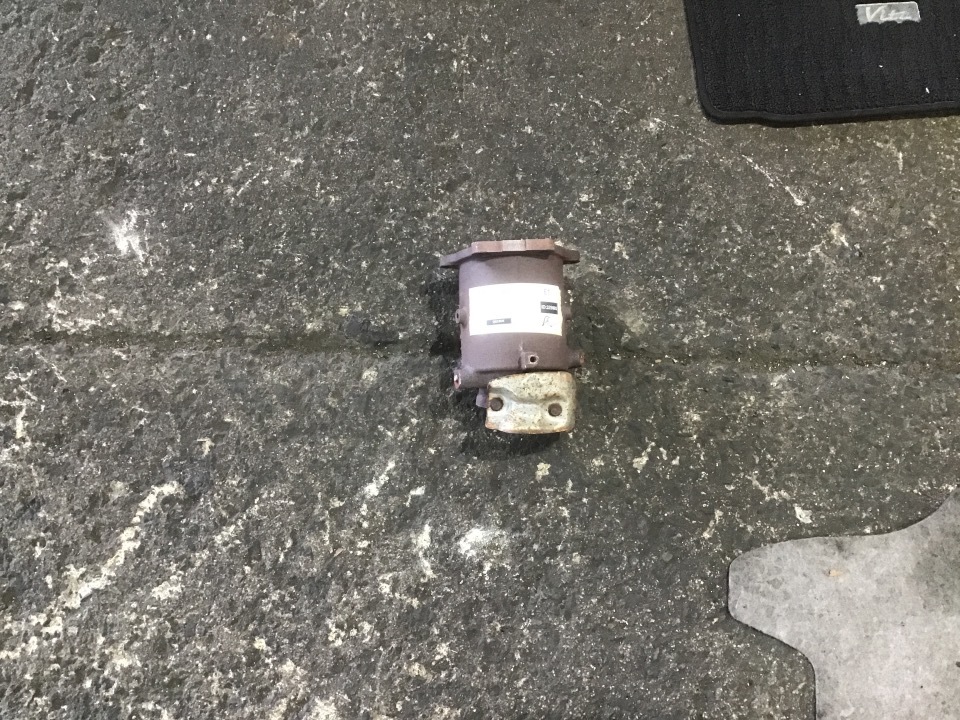 GAPRAS 触媒 ショクバイ - サニー - 商品詳細 - SP325901_2240