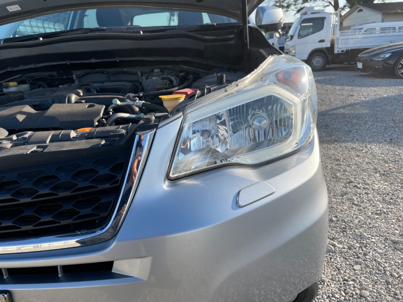 GAPRAS SUBARU Forester - Product detail - SP341218