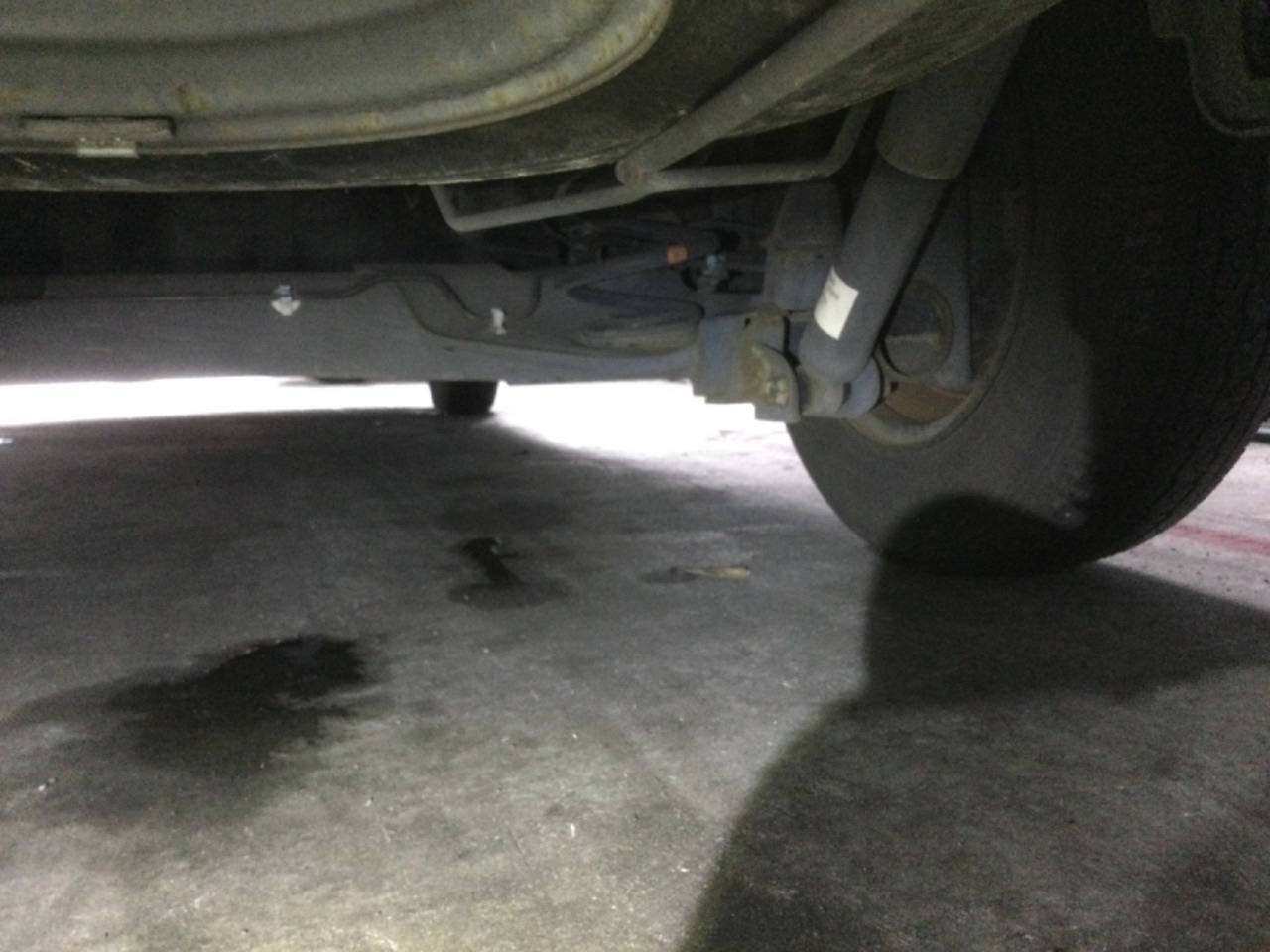 GAPRAS NISSAN AD - Product detail - SP344925