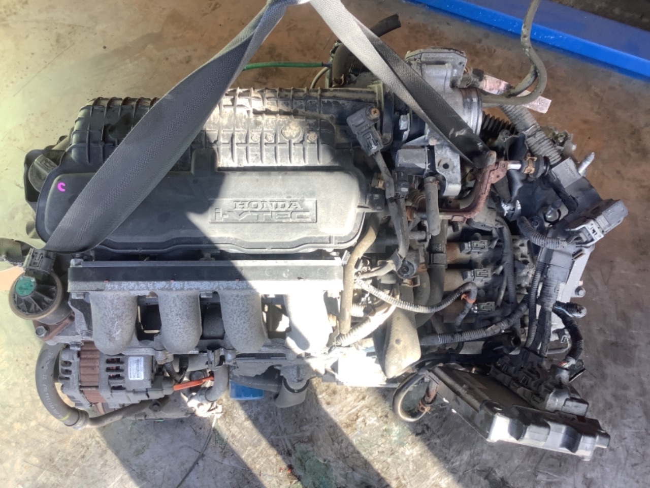 GAPRAS エンジン CPハーネス付 - フリード - 商品詳細 - SP346518_296