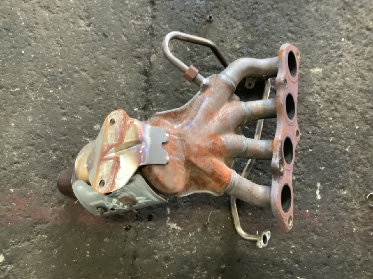 GAPRAS 触媒 ショクバイ - アクセラ - 商品詳細 - SP347042_2240